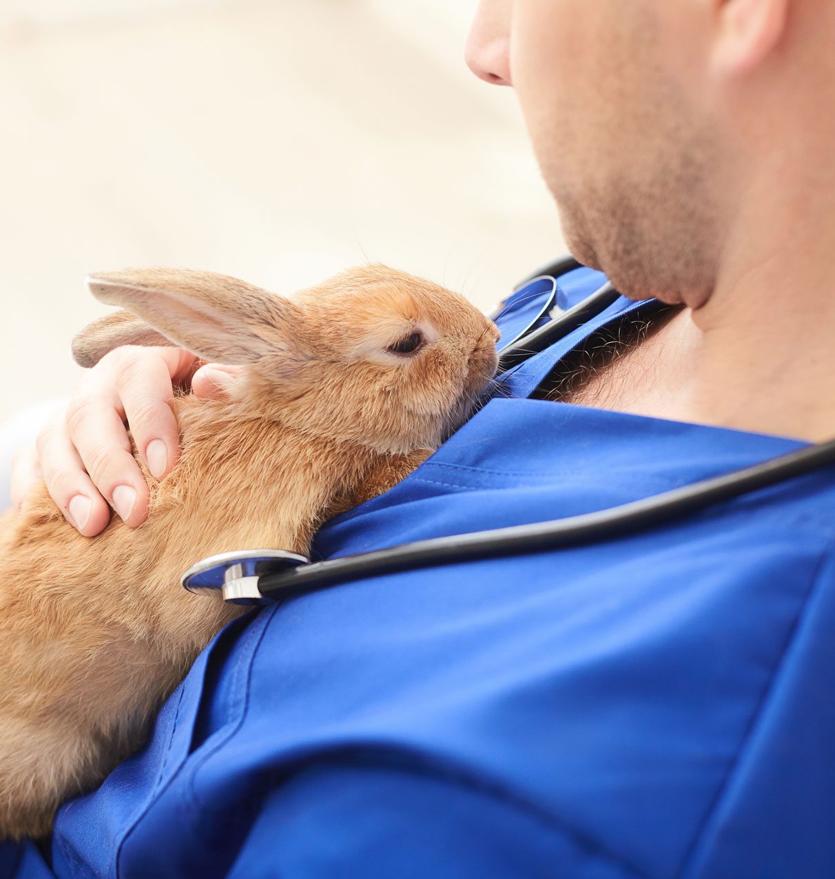 Compensation - Inspire Veterinary Partners