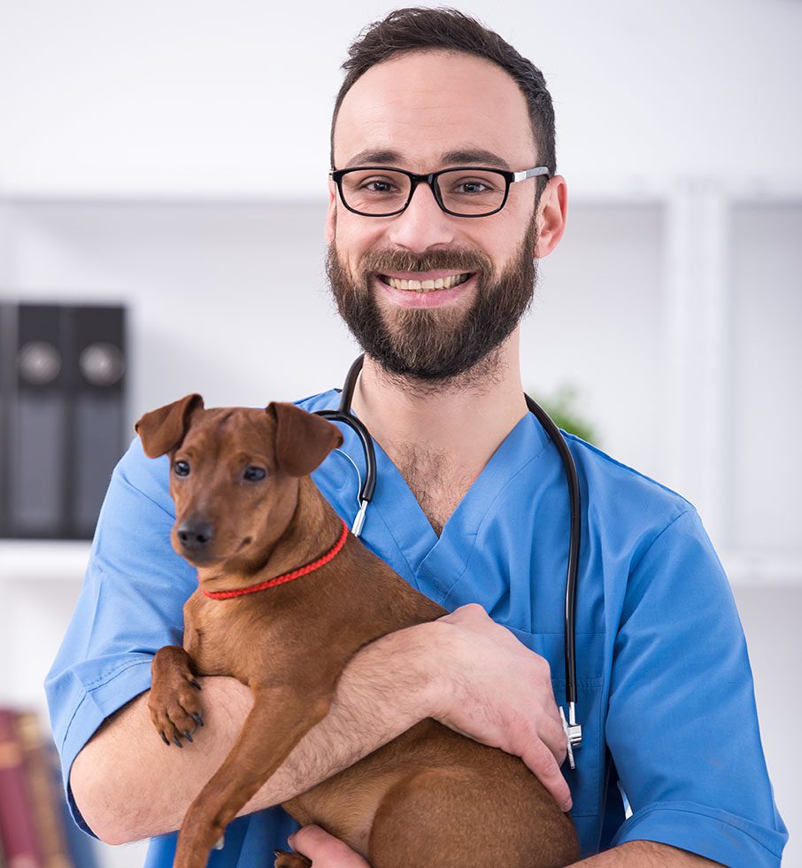 Story - Inspire Veterinary Partners